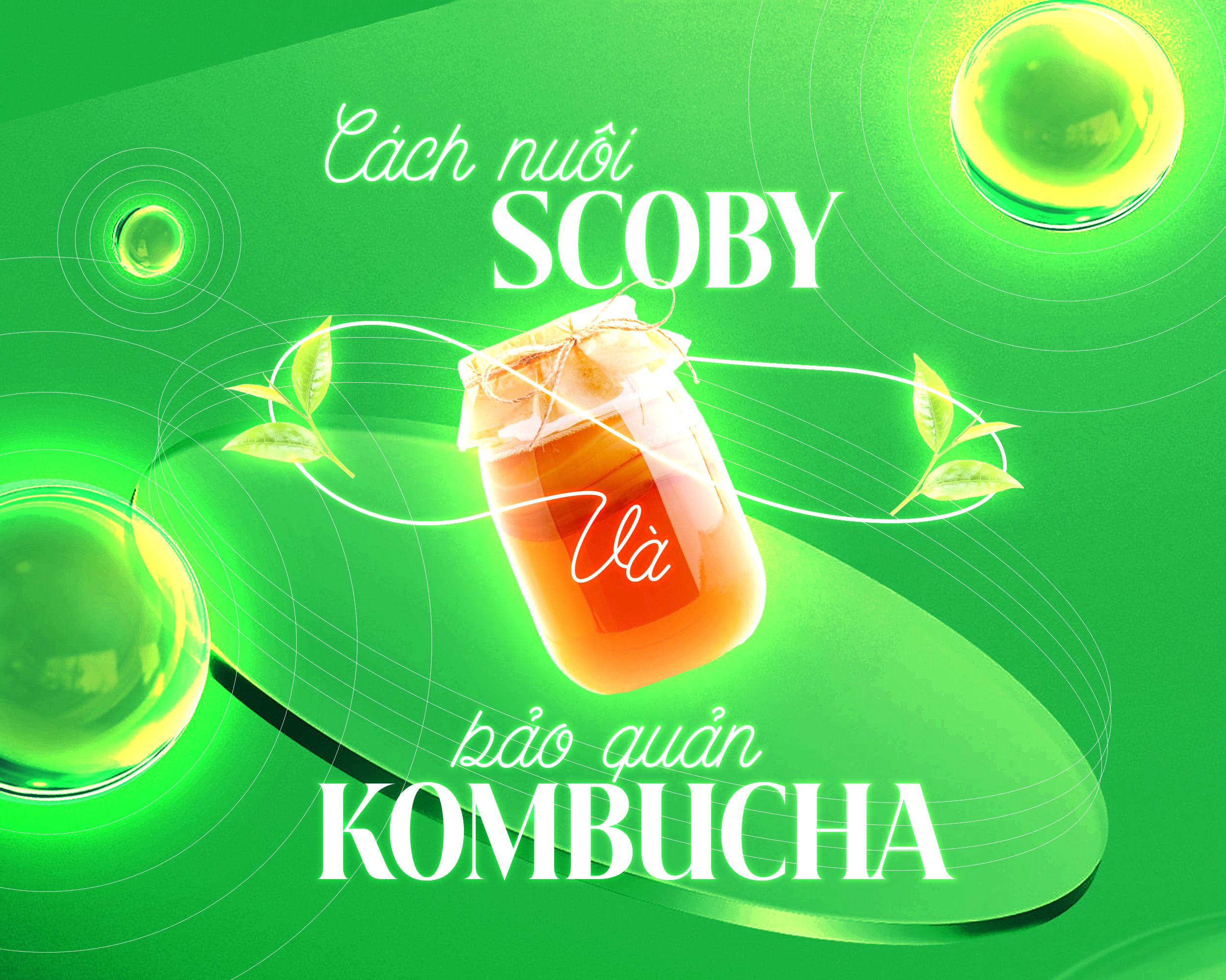 Nanda Kombucha